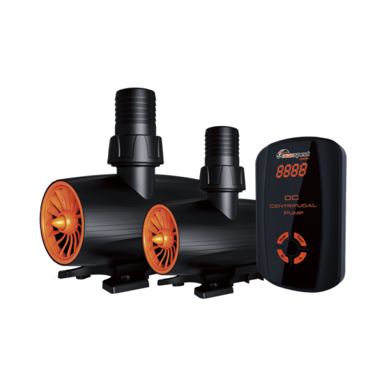 Jump - Maxspect