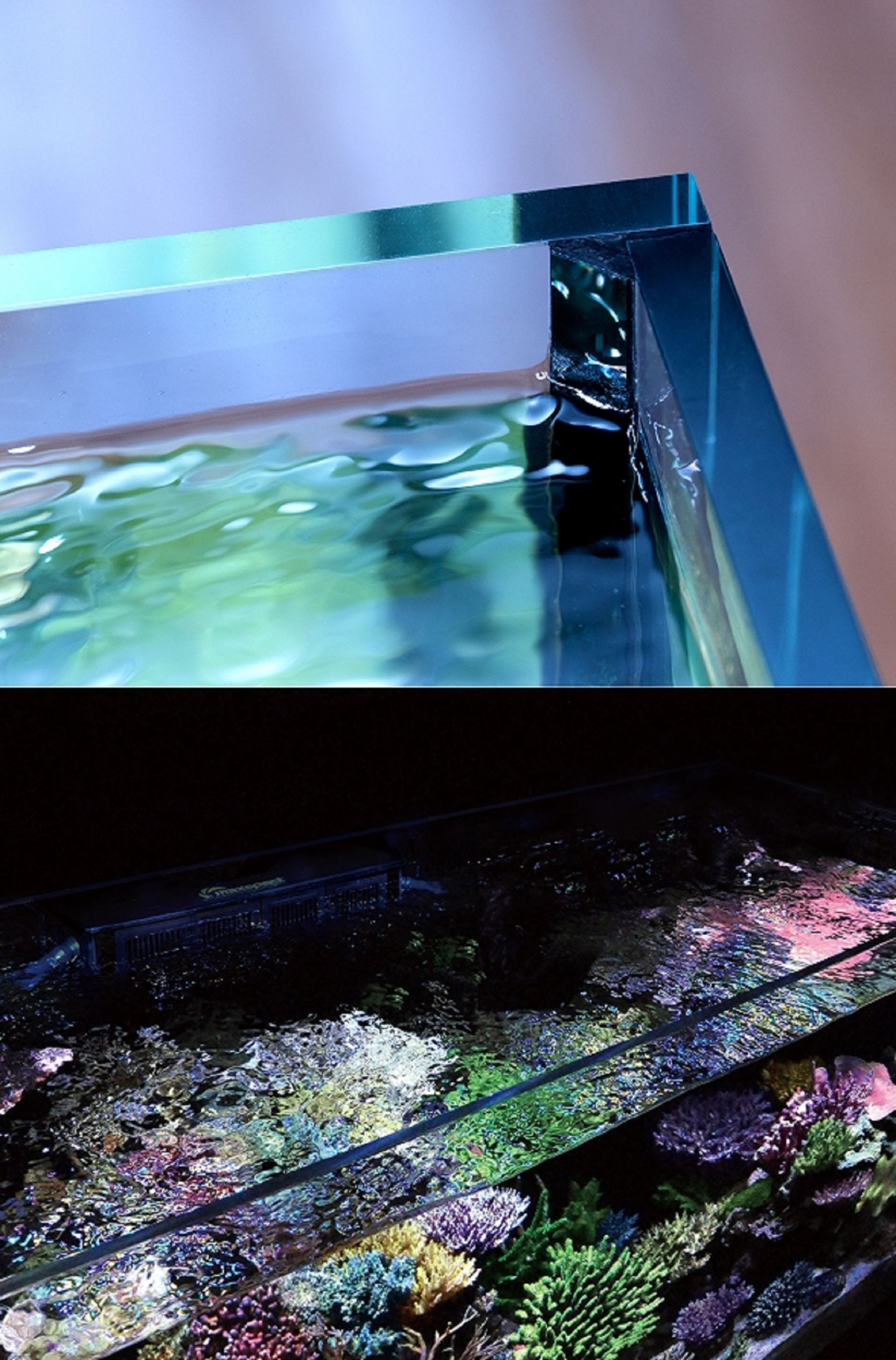 Lagoon series - Maxspect